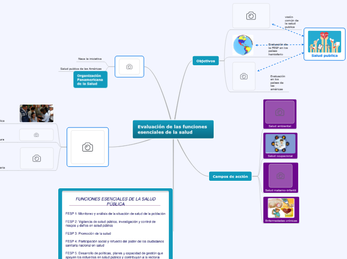 Evaluacion de las funciones esenciales de ...- Mind Map